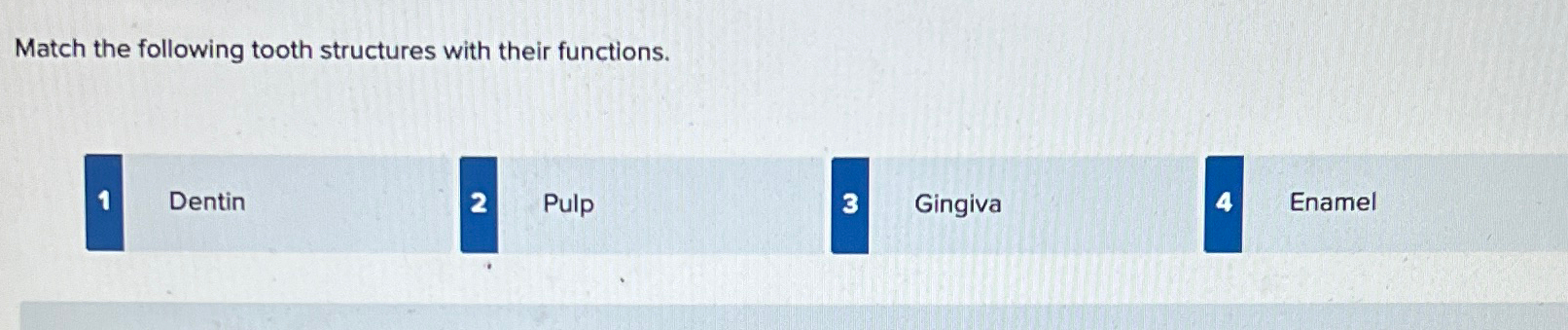 Solved Match the following tooth structures with their | Chegg.com
