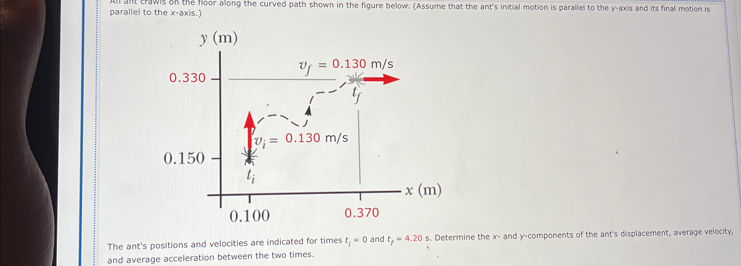 Solved parallel to the x-axis.)The ant's positions and | Chegg.com