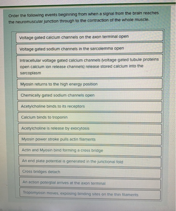 Solved Order the following events beginning from when a | Chegg.com