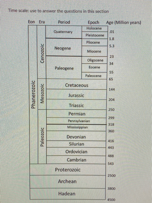 Solved Time scale: use to answer the questions in this | Chegg.com