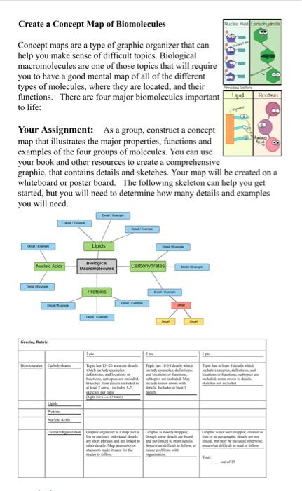 Solved Your Assignment: As a group, construct a concept map | Chegg.com