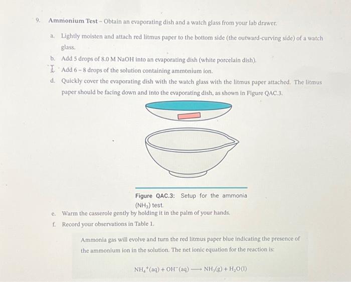 Solved 8. Magnesium Test - Obtain ONE clean test tube. Place | Chegg.com