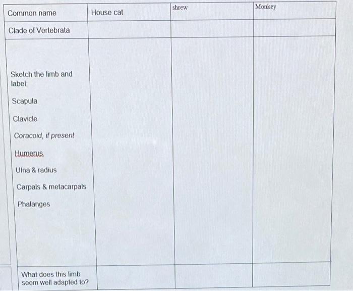Solved shrew Monkey Common name House cat Clade of | Chegg.com