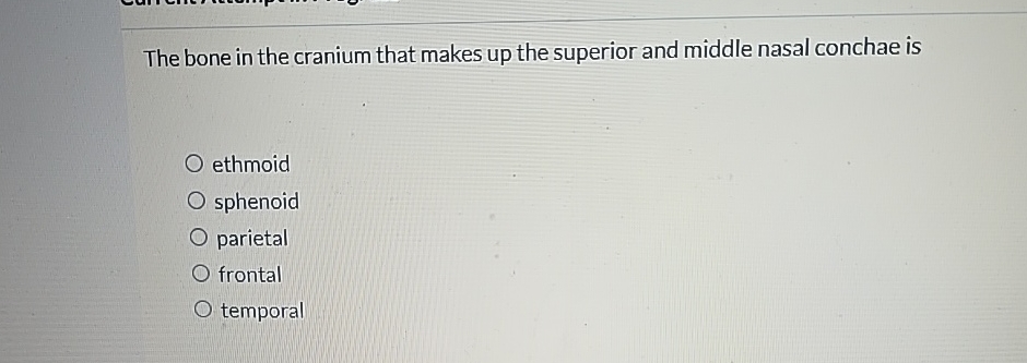Solved The bone in the cranium that makes up the superior | Chegg.com