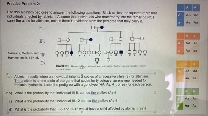Solved А А A Practice Problem 2: Use this albinism pedigree | Chegg.com
