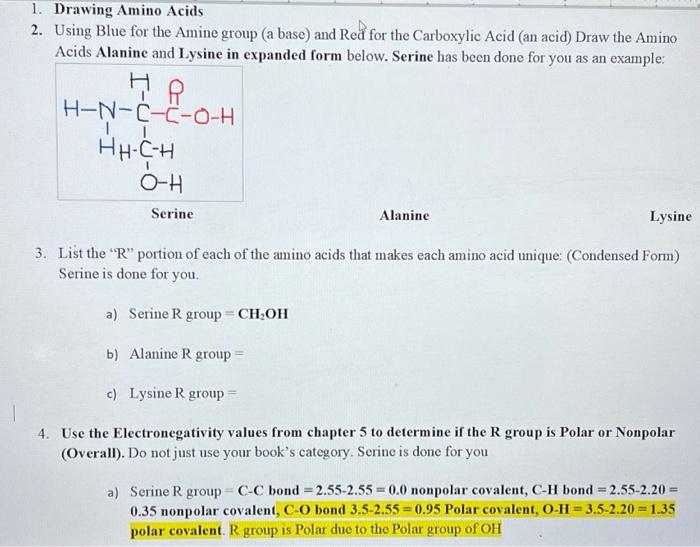 Solved 1. Drawing Amino Acids 2. Using Blue for the Amine | Chegg.com