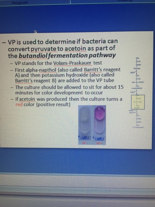 Exercise 8 Use Of The Api 20e System To Identify Gram