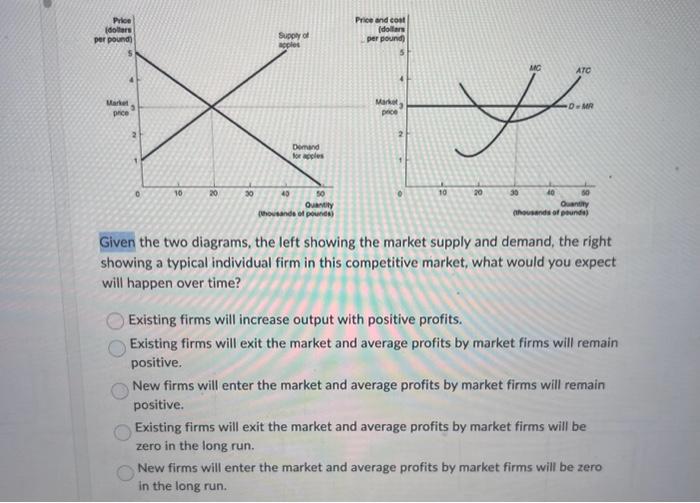 Solved Given the two diagrams, the left showing the market | Chegg.com