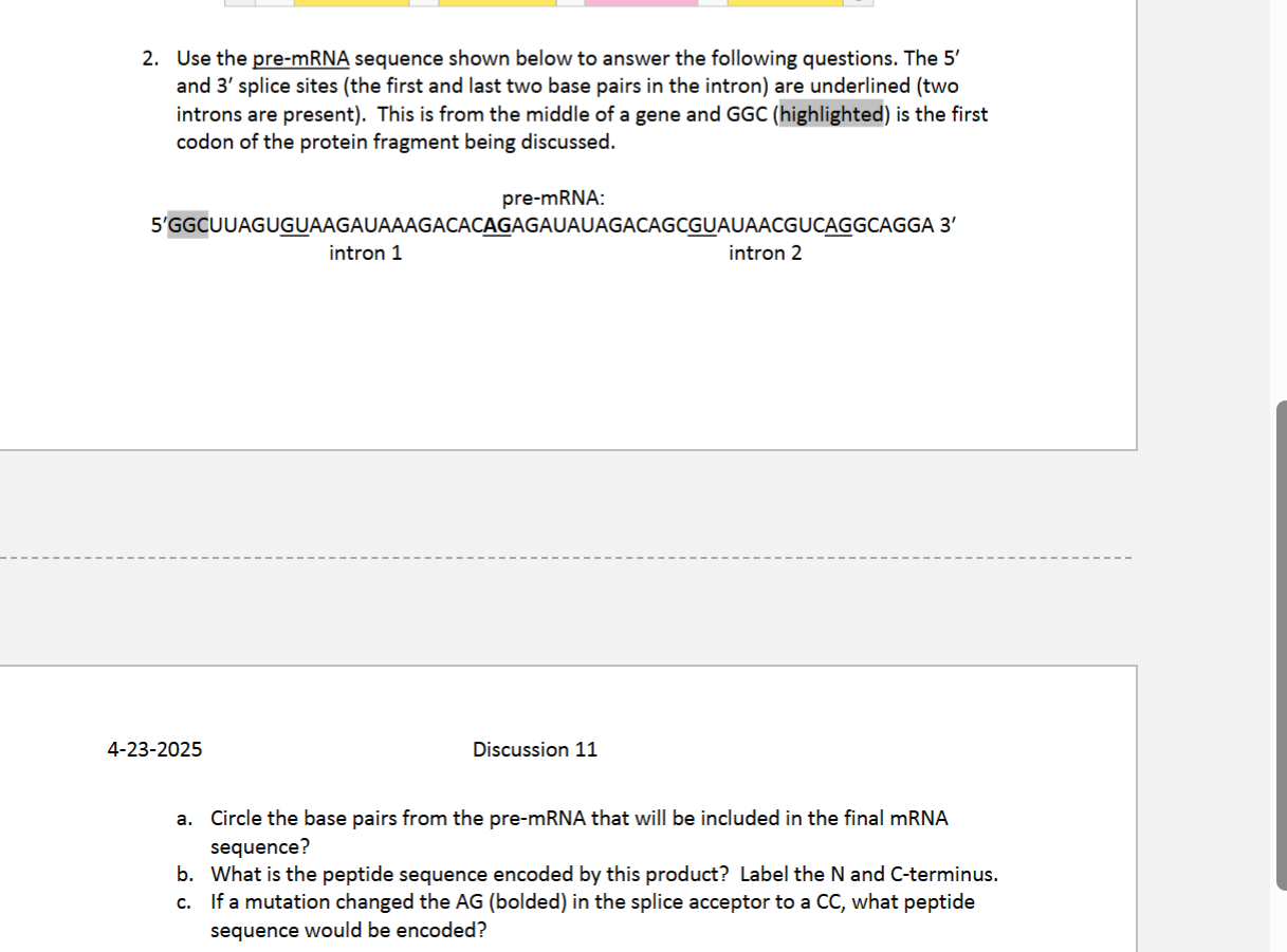 Solved 2. ﻿Use the pre-mRNA sequence shown below to answer | Chegg.com