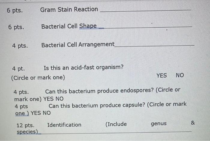 Solved 6 pts. 6 pts. Gram Stain Reaction Bacterial Cell | Chegg.com