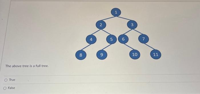Solved The above tree is a full tree. True False | Chegg.com