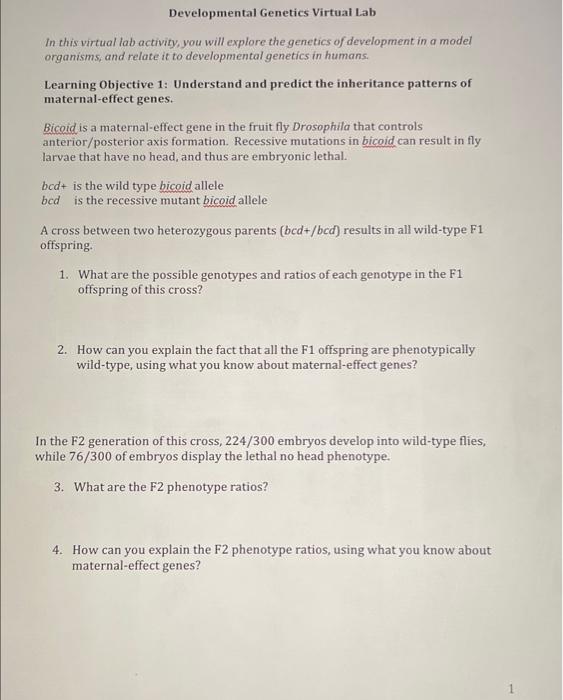 Solved Developmental Genetics Virtual Lab In this virtual | Chegg.com