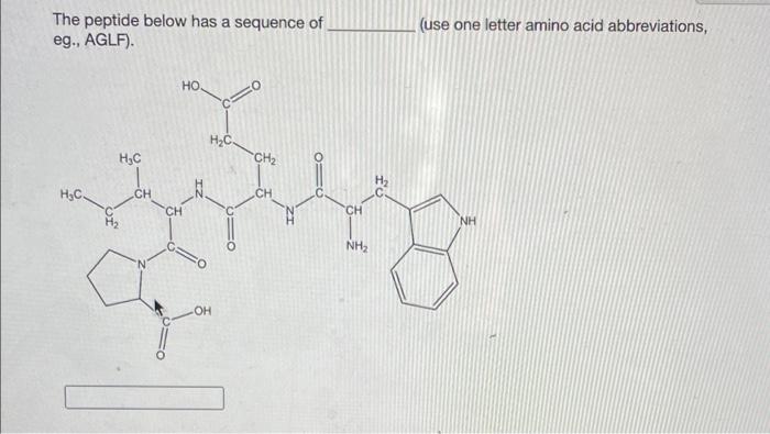 Solved The peptide below has a sequence of (use one letter | Chegg.com