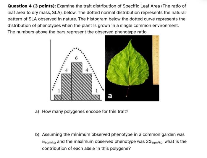 Solved Question 4 ( 3 points): Examine the trait | Chegg.com