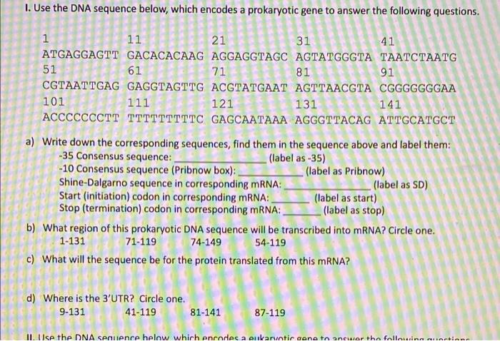 Solved 1. Use the DNA sequence below, which encodes a | Chegg.com