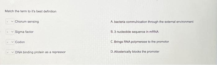 Solved Match the term to it's best definition Chorum | Chegg.com