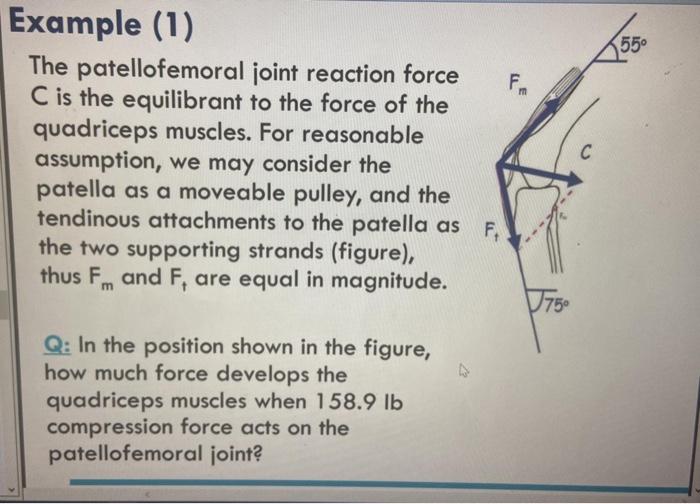 The patellofemoral joint reaction force C is the | Chegg.com