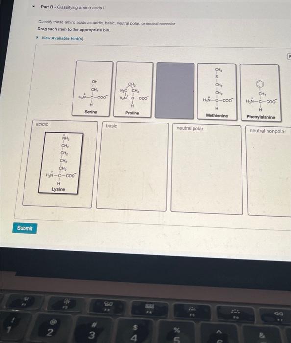 Solved Submit * Part B - Classifying amino acids II Classify | Chegg.com