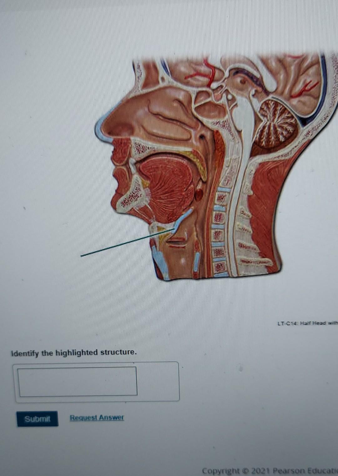 Solved 0 * LT-014. Mail Head with Identify the highlighted | Chegg.com
