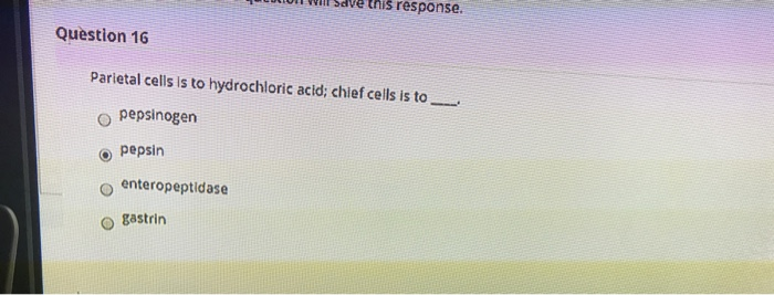 Solved This response. Question 16 Parietal cells is to | Chegg.com
