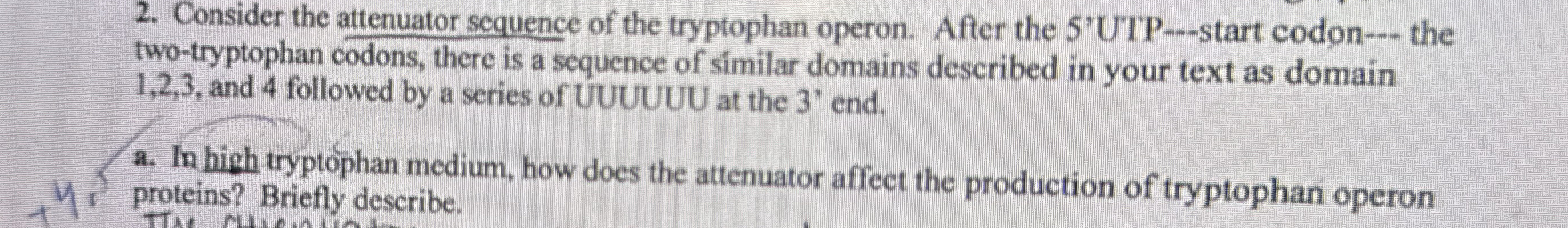 Solved Consider the attenuator sequence of the tryptophan | Chegg.com