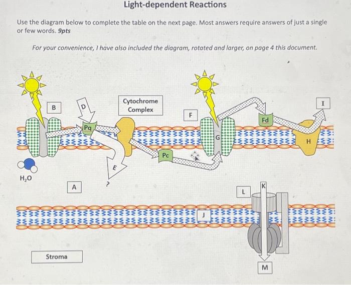 Solved Use the diagram below to complete the table on the | Chegg.com