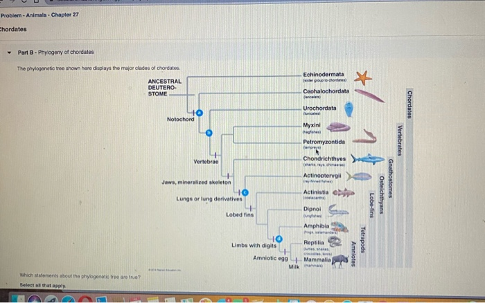 Problem - Animals - Chapter 27 Chordates Part B. | Chegg.com