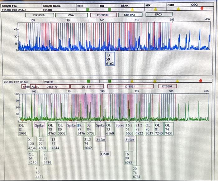 \begin{tabular}{|l|l|l|l|l|l|} \hline Locus & D3S1358 | Chegg.com