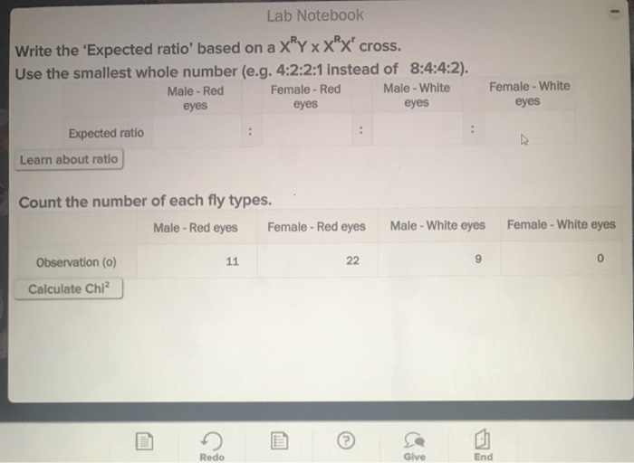 Solved Lab Notebook Write the 'Expected ratio' based on a | Chegg.com