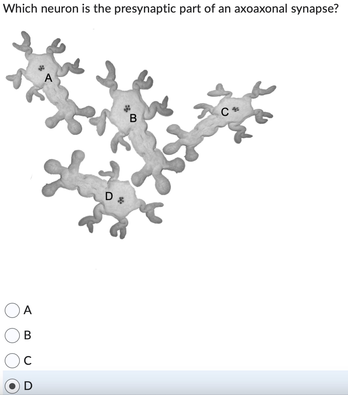Solved Which neuron is the presynaptic part of an axoaxonal | Chegg.com