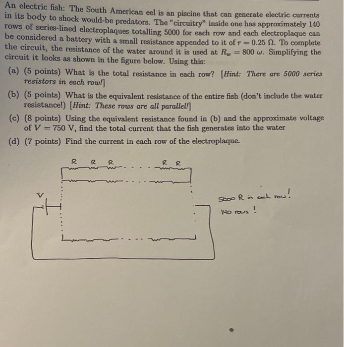 Solved T= An electric fish: The South American eel is an | Chegg.com