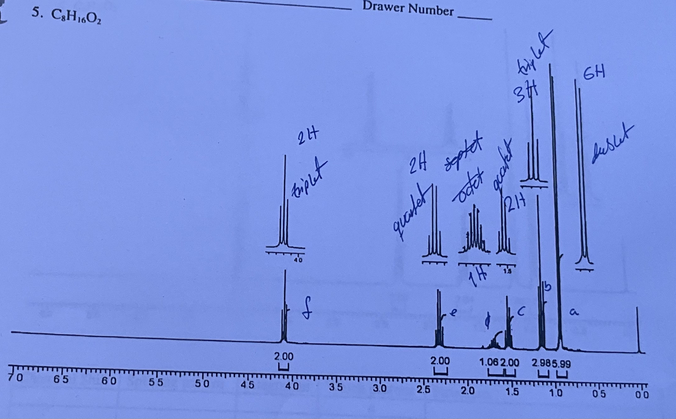 Solved C8H16O2Please help me find the structure of this | Chegg.com