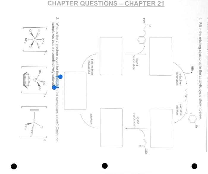 Solved CHAPTER QUESTIONS - CHAPTER 21 | Chegg.com