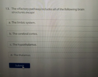 Solved The olfactory pathway includes all of the following | Chegg.com