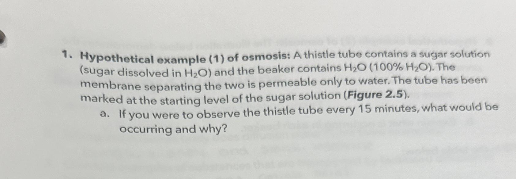 Solved Hypothetical example (1) ﻿of osmosis: A thistle tube | Chegg.com