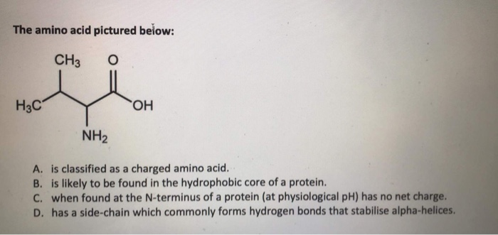 Solved The amino acid pictured below: CH3 H3C ОН NH2 A. is | Chegg.com