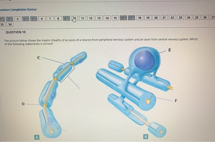 Solved estion Completion Status: 123456789 11 12 13 14 15 16 | Chegg.com Solved estion Completion Status: 123456789 11 12 13 14 15 16 | Chegg.com