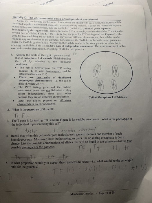 Solved wo ond groups. Rh factor is another commonly | Chegg.com