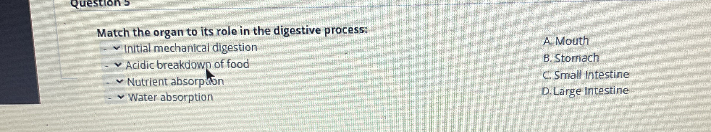 Solved Match the organ to its role in the digestive | Chegg.com