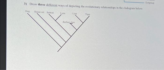 3) Draw three different ways of depicting the | Chegg.com