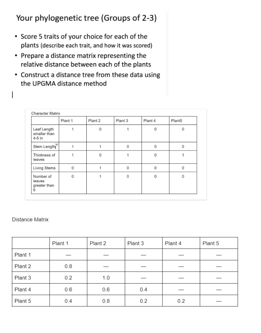 Solved Your phylogenetic tree (Groups of 2-3)Score 5 ﻿traits | Chegg.com