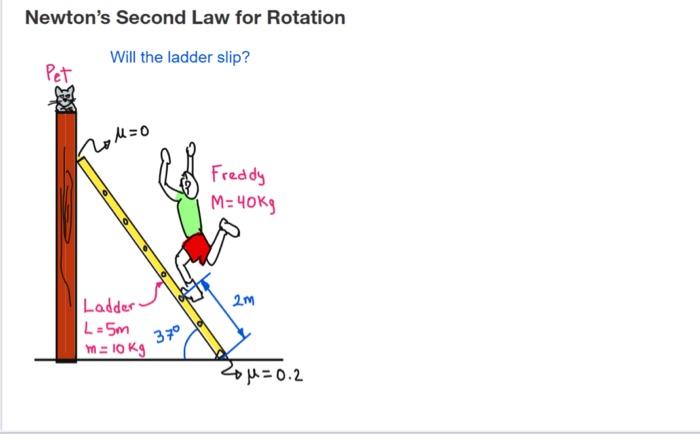Solved Newton's Second Law for Rotation Will the ladder | Chegg.com