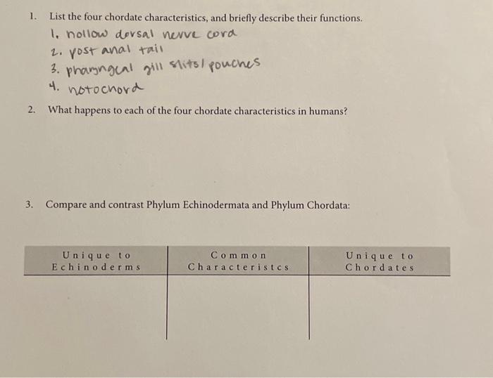 Solved 1. List the four chordate characteristics, and | Chegg.com