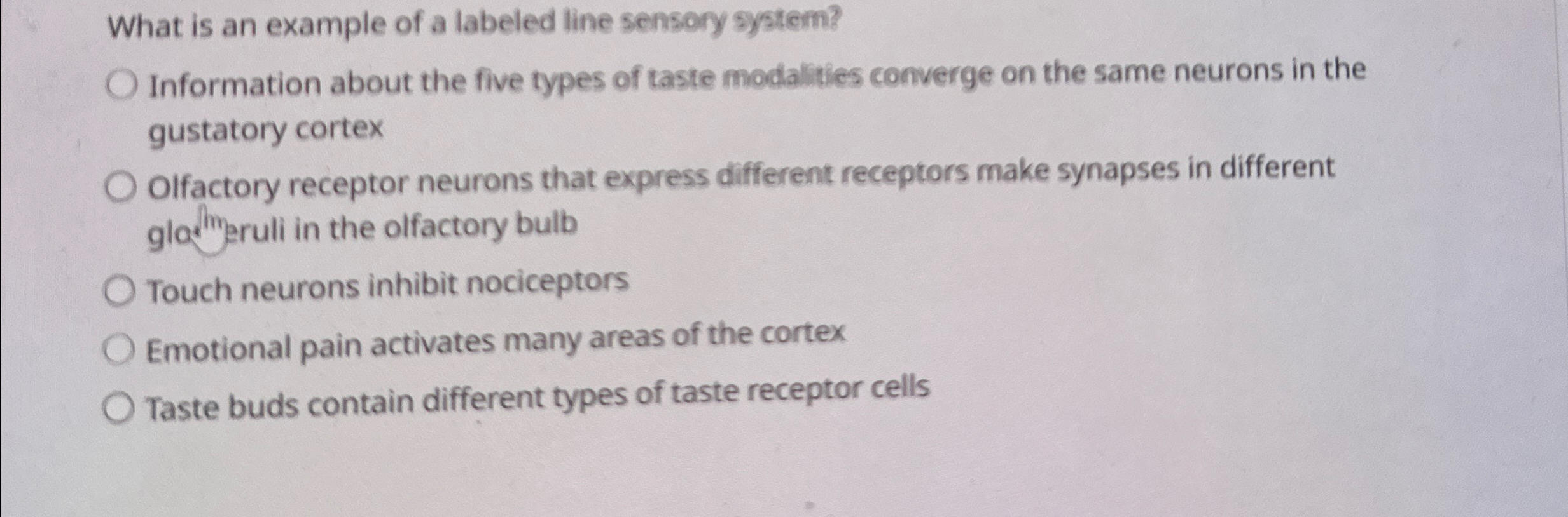 Solved What is an example of a labeled line sensory | Chegg.com