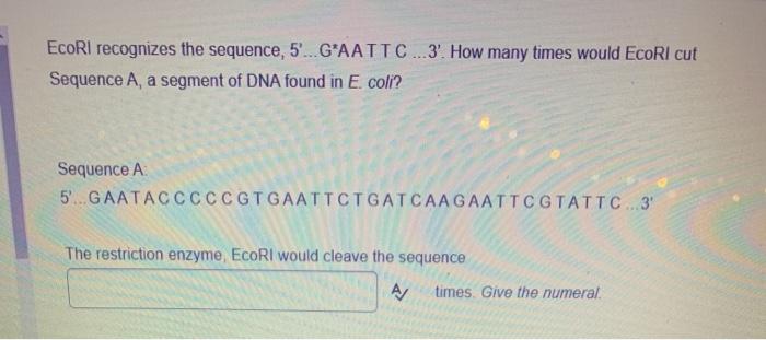 Solved EcoRI recognizes the sequence, 5...G'AATTC...3'. How | Chegg.com