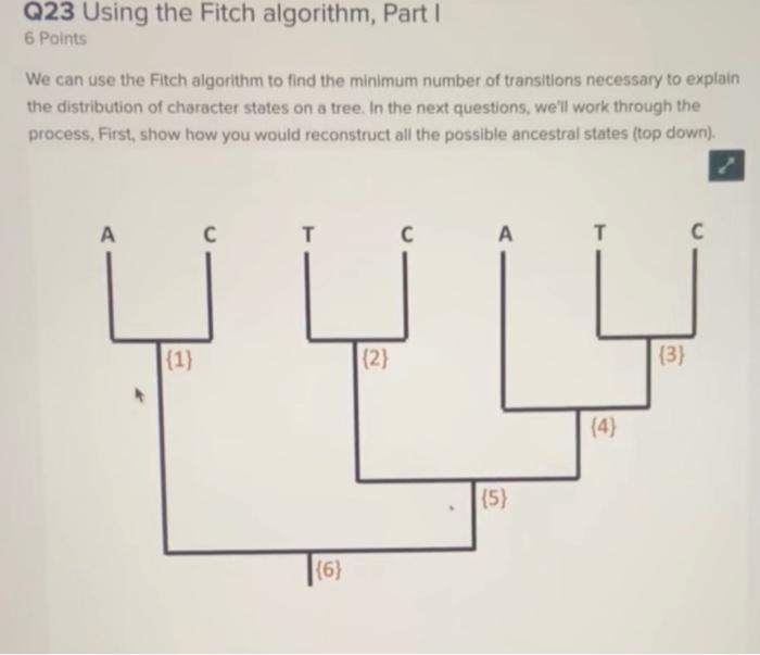 Solved Q23 Using the Fitch algorithm, Part 1 6 Points We can | Chegg.com