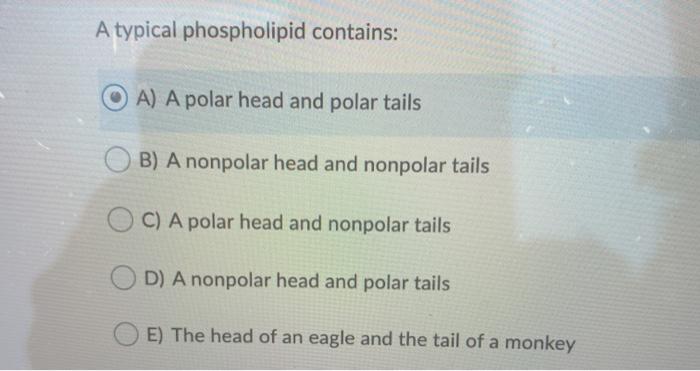 Solved A typical phospholipid contains: A) A polar head and | Chegg.com
