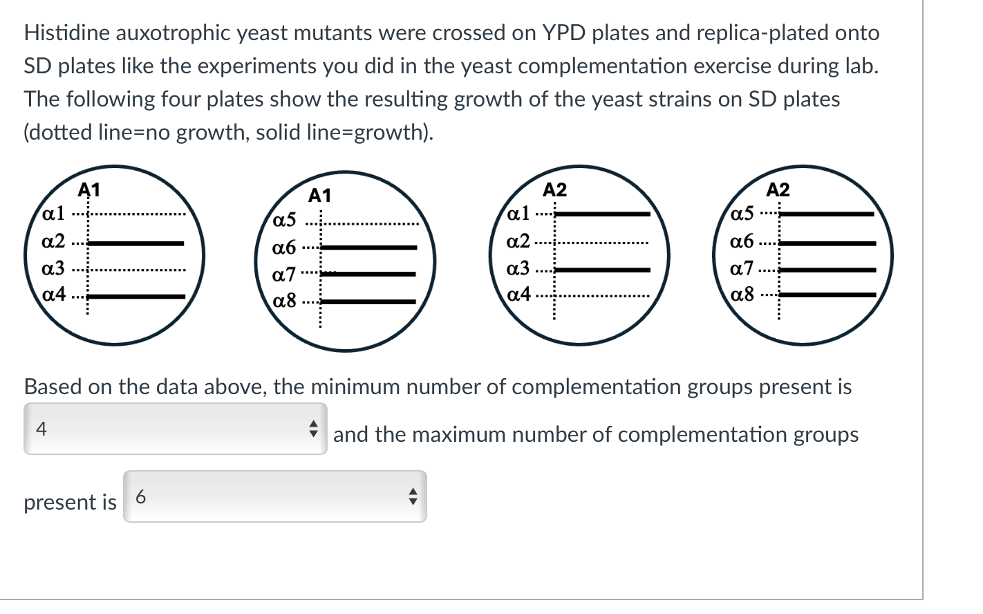 Solved A female fly with red eyes and normal bristles was | Chegg.com