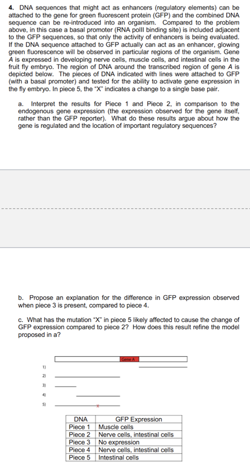 Solved 4. ﻿DNA sequences that might act as enhancers | Chegg.com