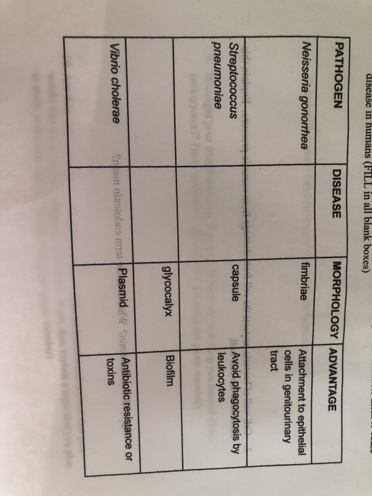 Solved disease in humans (FILL in all blank boxes) PATHOGEN | Chegg.com